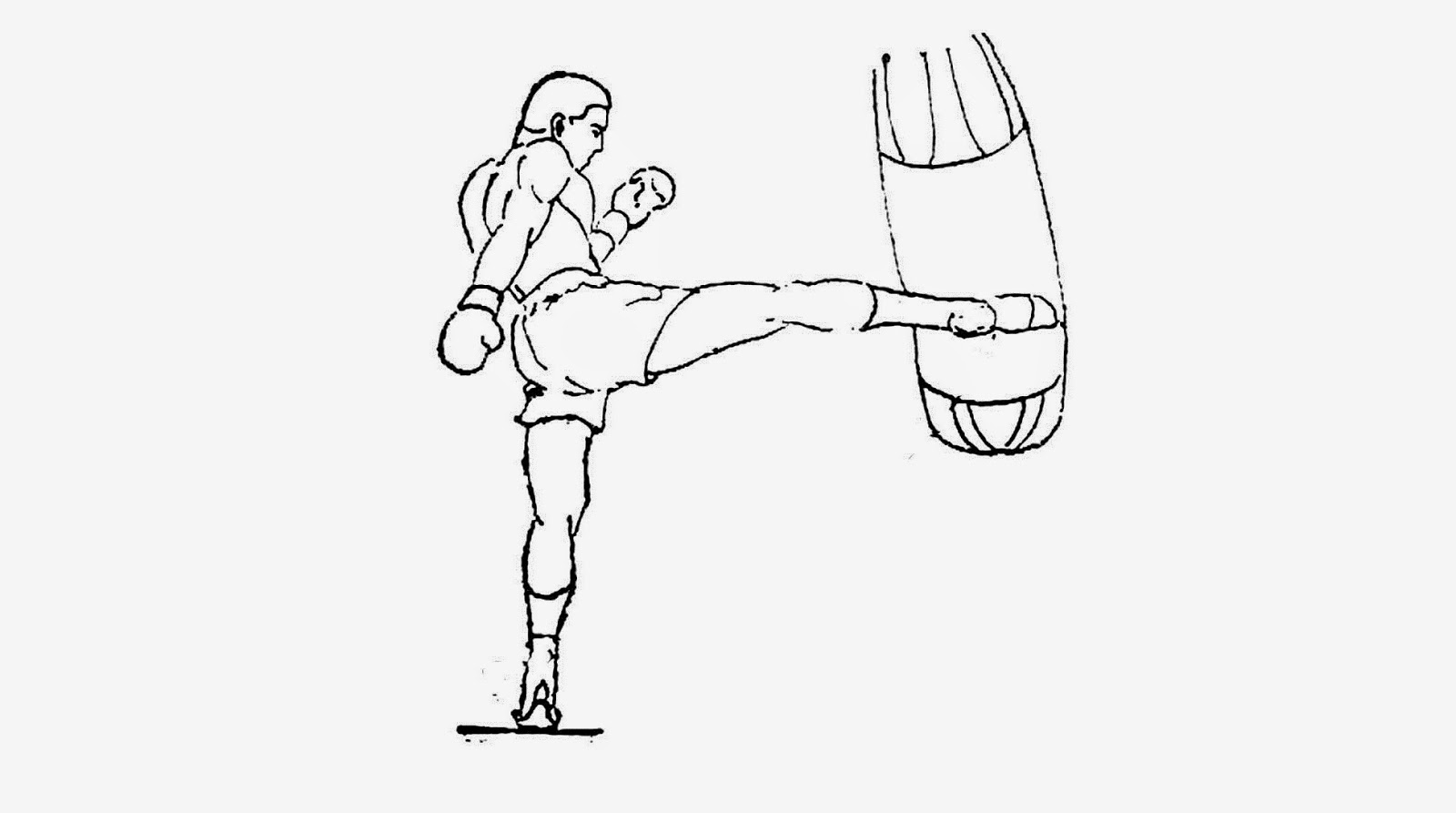 Another Way To Look At Martial Arts: Roundhouse kicks.