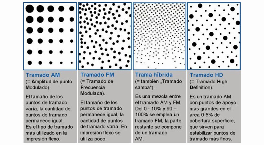 Carol Morales . : TRAMA