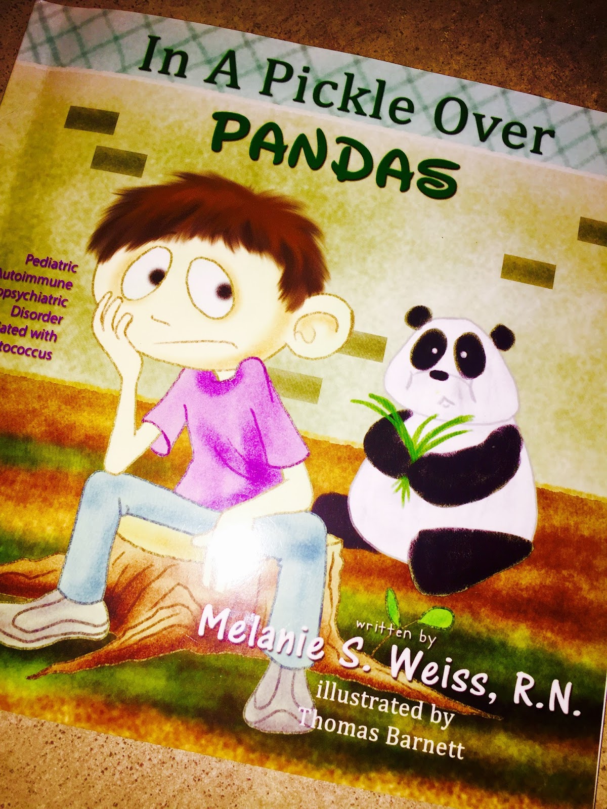 The Wonderfully Made Life : Oh, PANDA, My PANDA