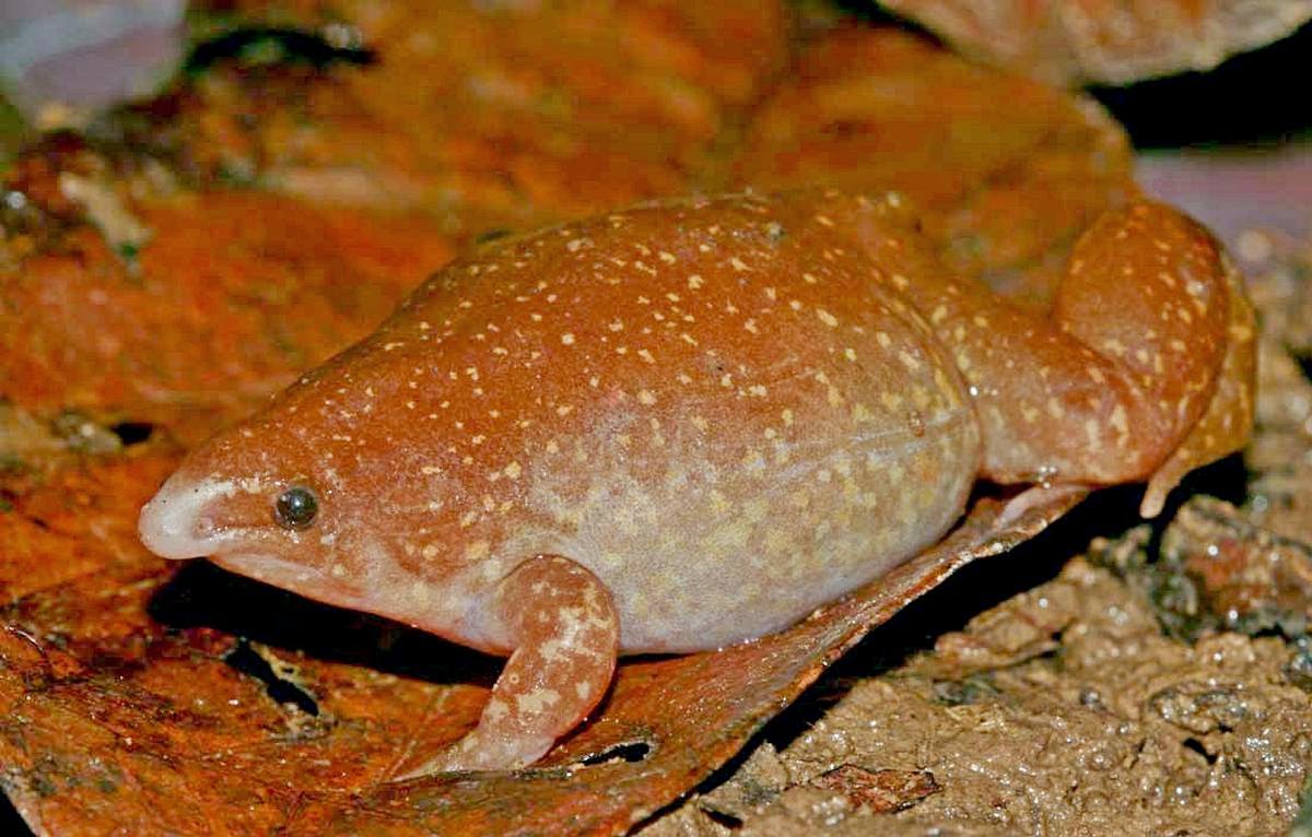 Expédition Mitaraka /Guyane: ON Y EST