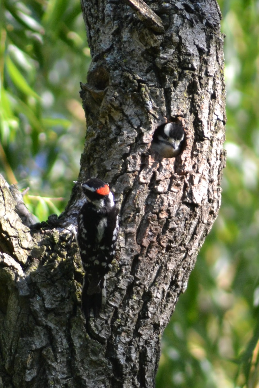 Landscape, Nature and Wildlife Photography done by Angie K. Johnson ...