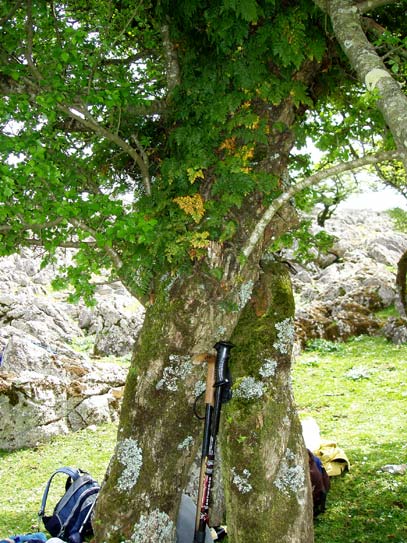 SENDERISMO EN EL RIF/RANDONNÉES DANS LE RIF: DHAR HAJAR Y FAHS LEMHAR ...