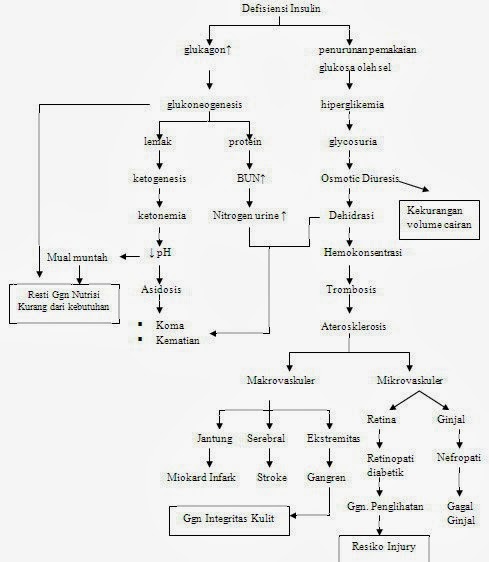 Dicky Nufero (nurse for hero): Pathway DM (Diabetes Melitus)