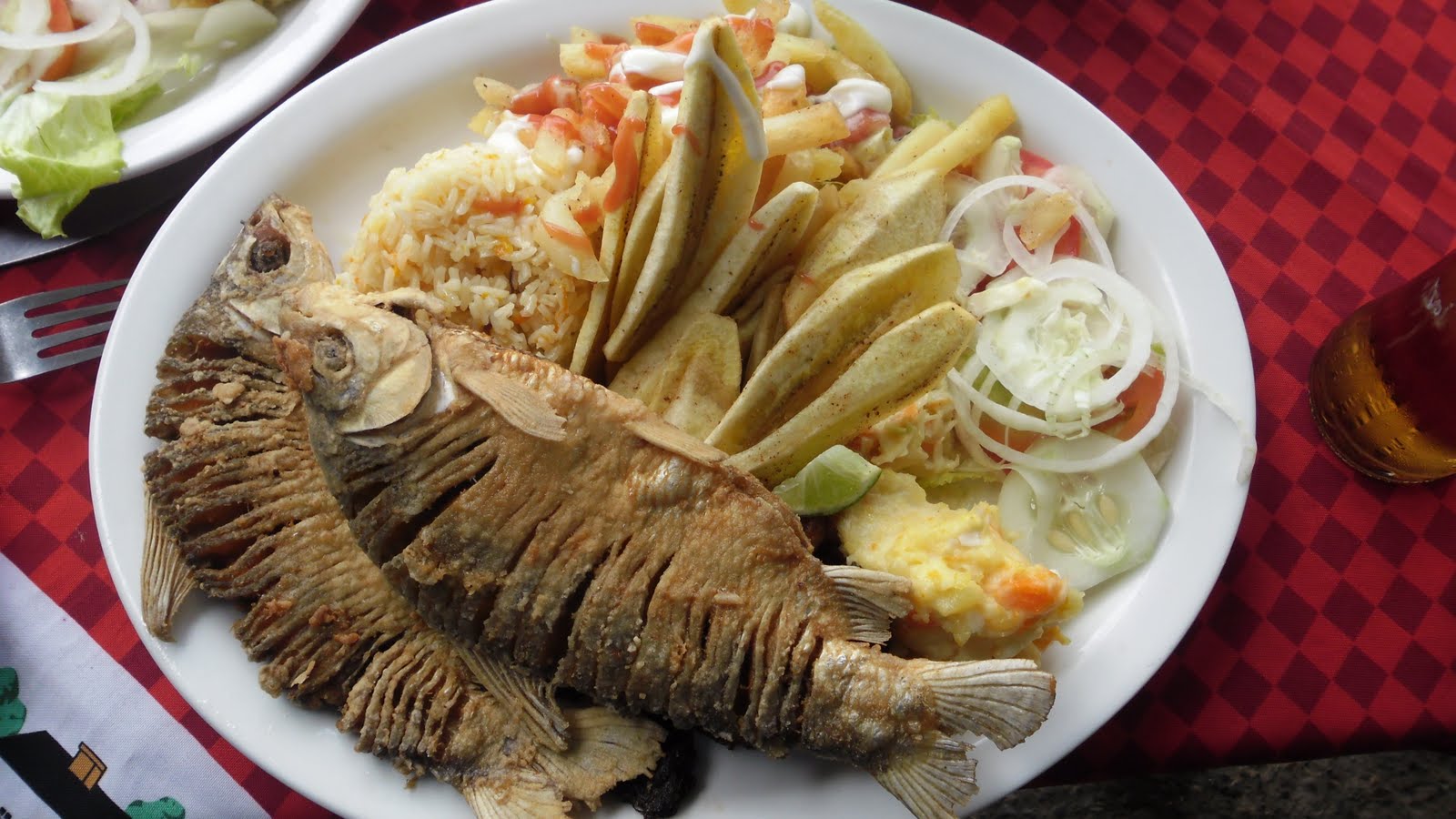 VIVENCIAS LLANERAS DEL ABUELO: El pescado: Coporo y Caribe