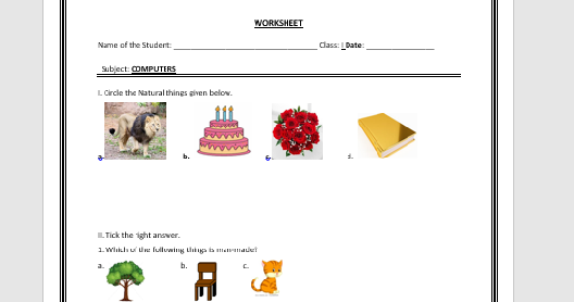 Computer Science: Work sheet -Grade1