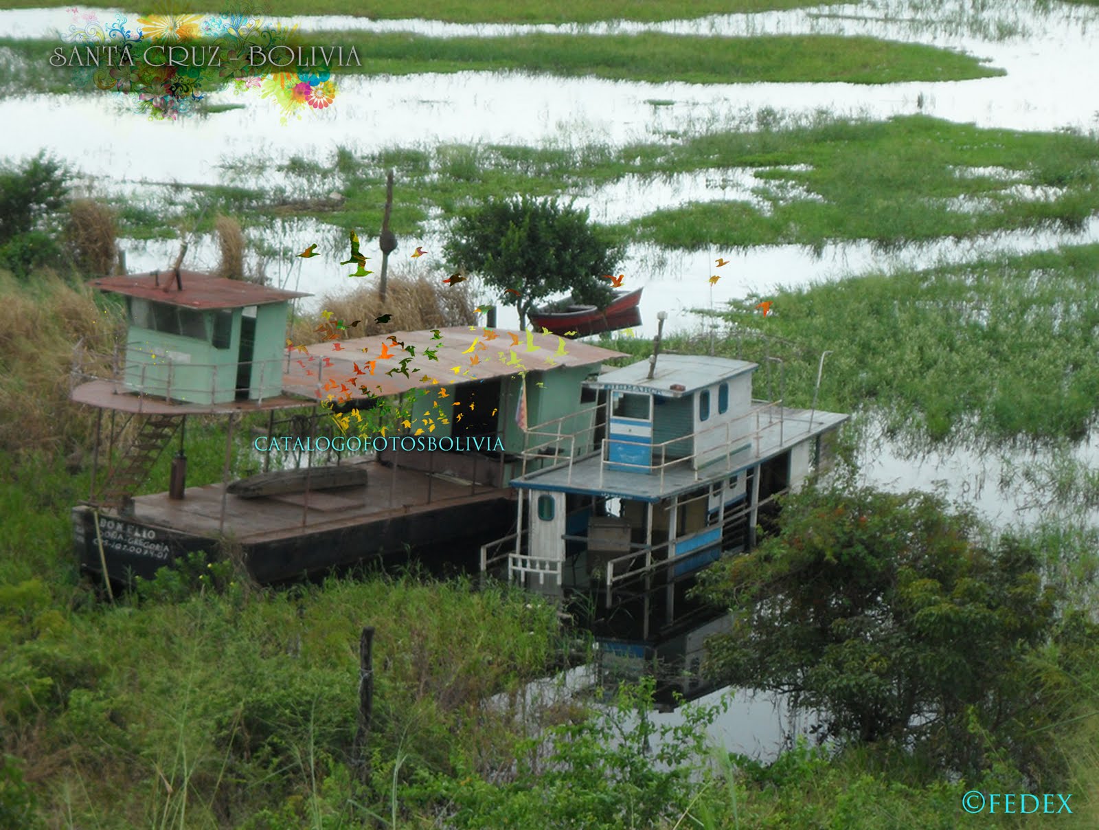 Catalogo de fotos Bolivia: Fotos: Puerto Quijarro Santa Cruz Bolivia
