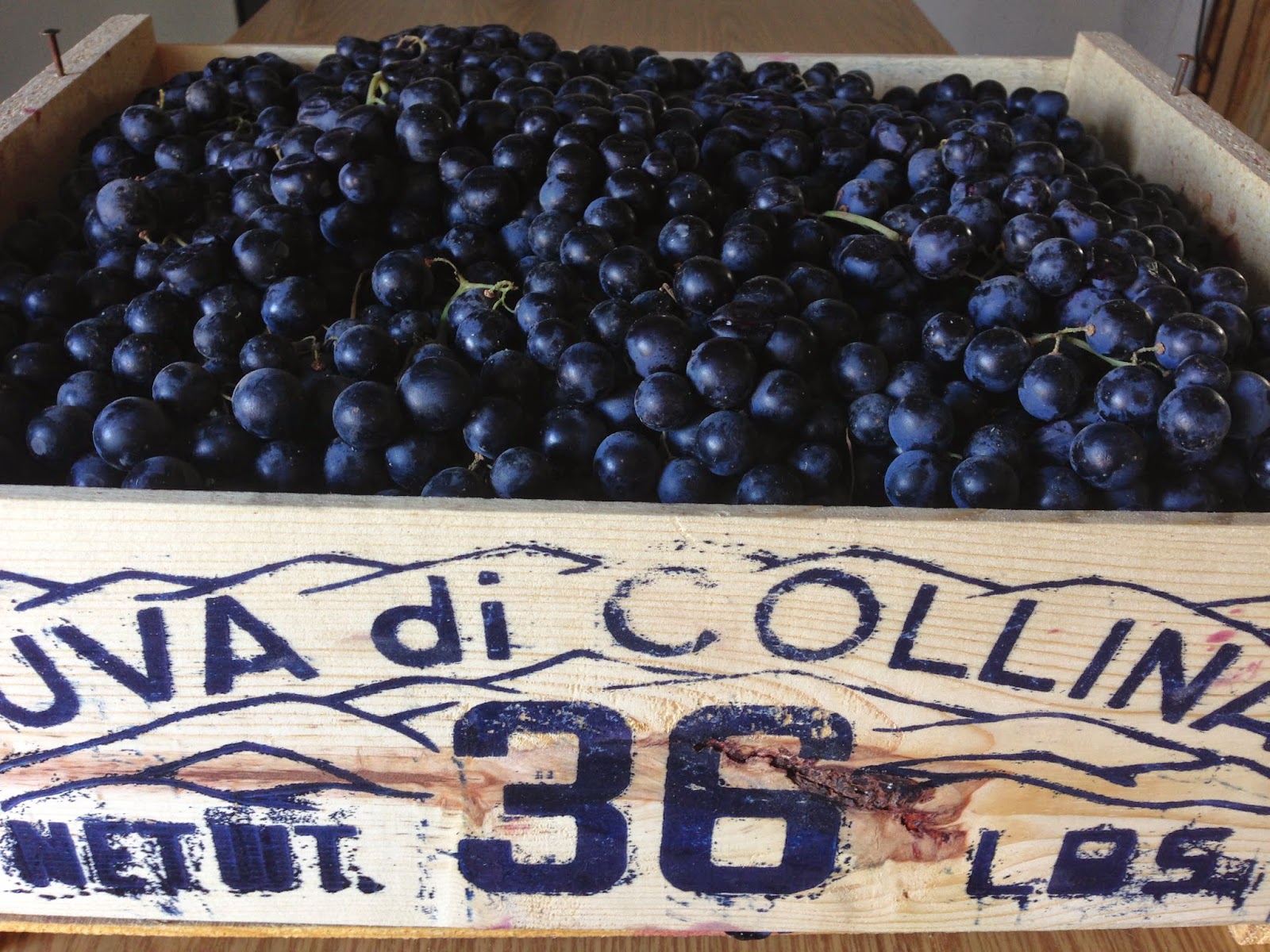 With Love... From Nonnina's Kitchen: Homemade Grape Conserva