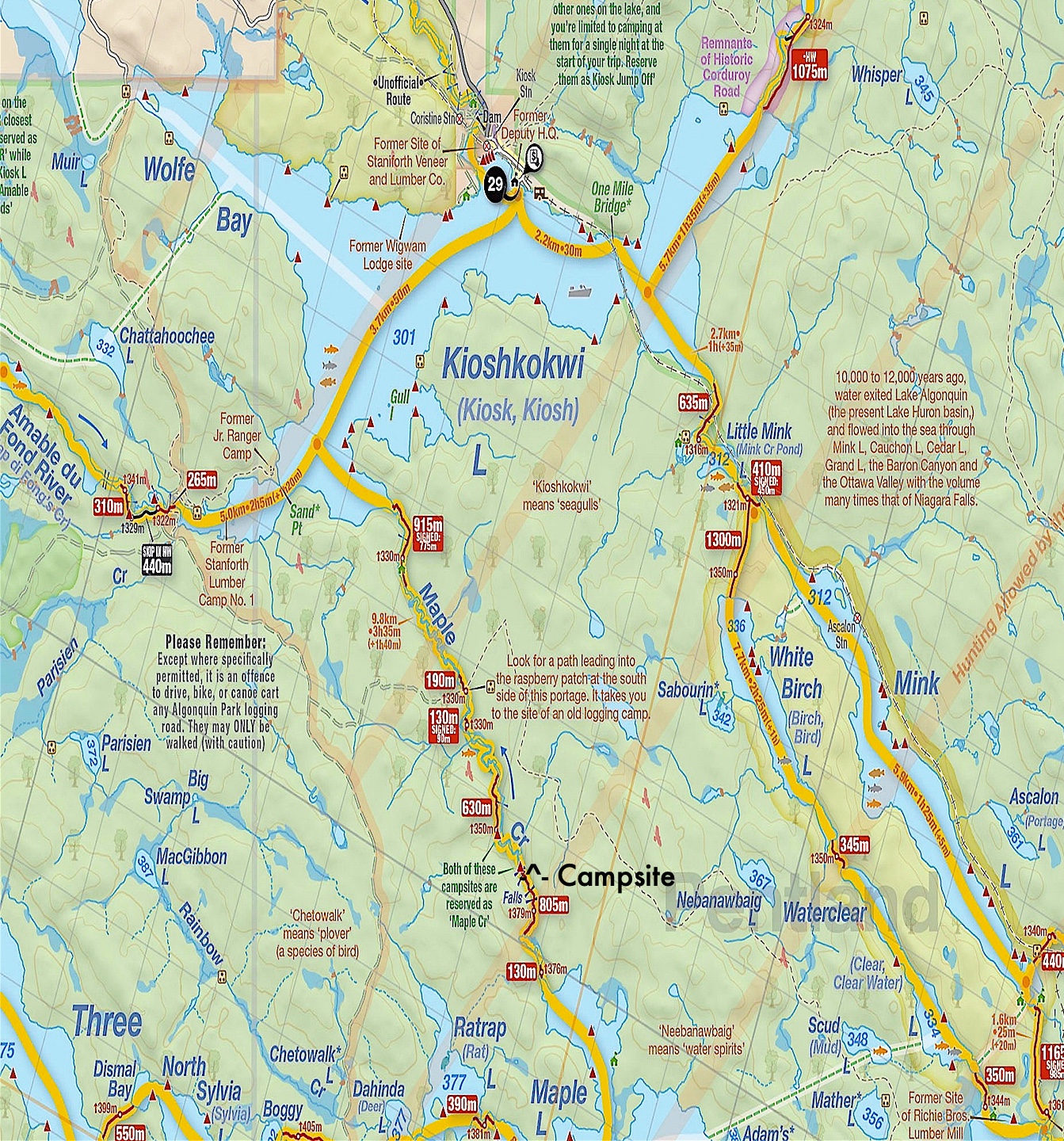 Algonquin Treks & Images: Day 2 - Maple Creek