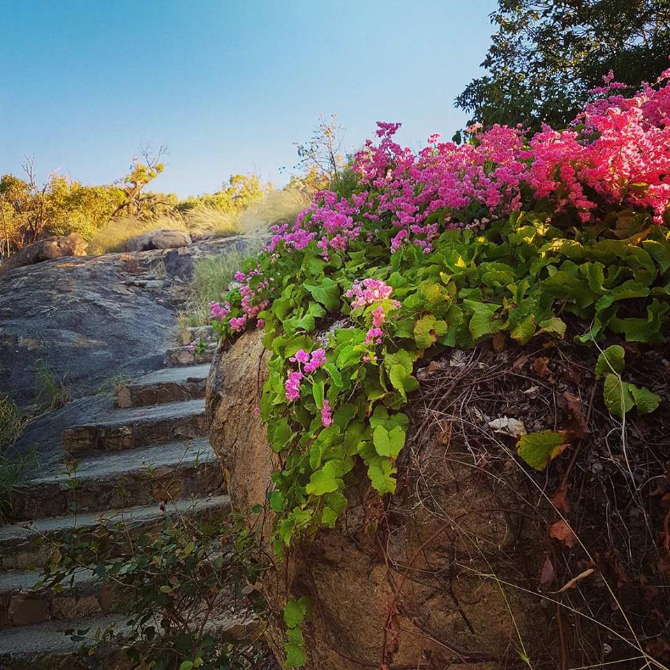 Ocean Crave: 7 reasons to visit beautiful Bowen!