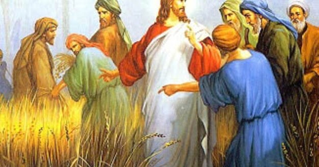 My Reflections...: 1Reflection for July 17, Friday; Fifteenth Week in ...