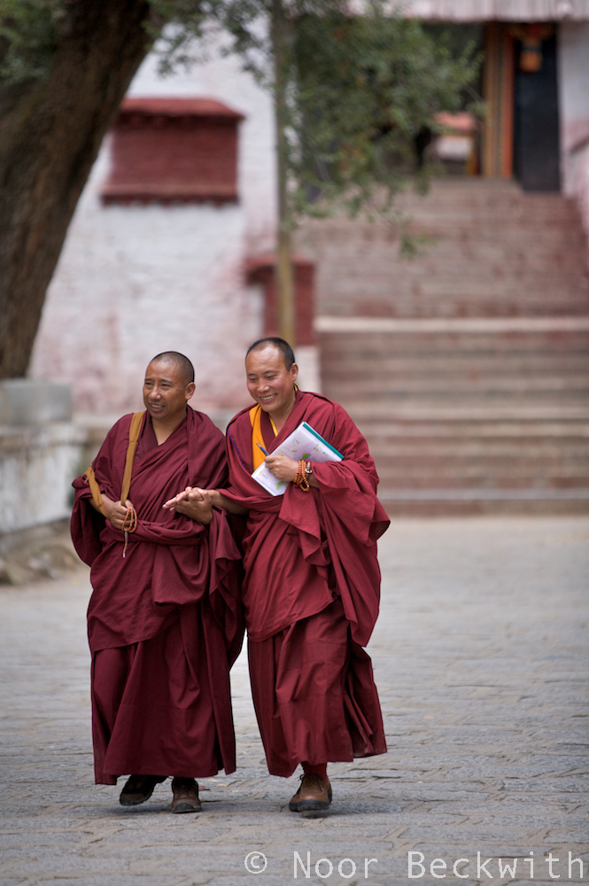 Noor Beckwith Photography: ARGUING MONKS OF SERA MONASTERY SERIES