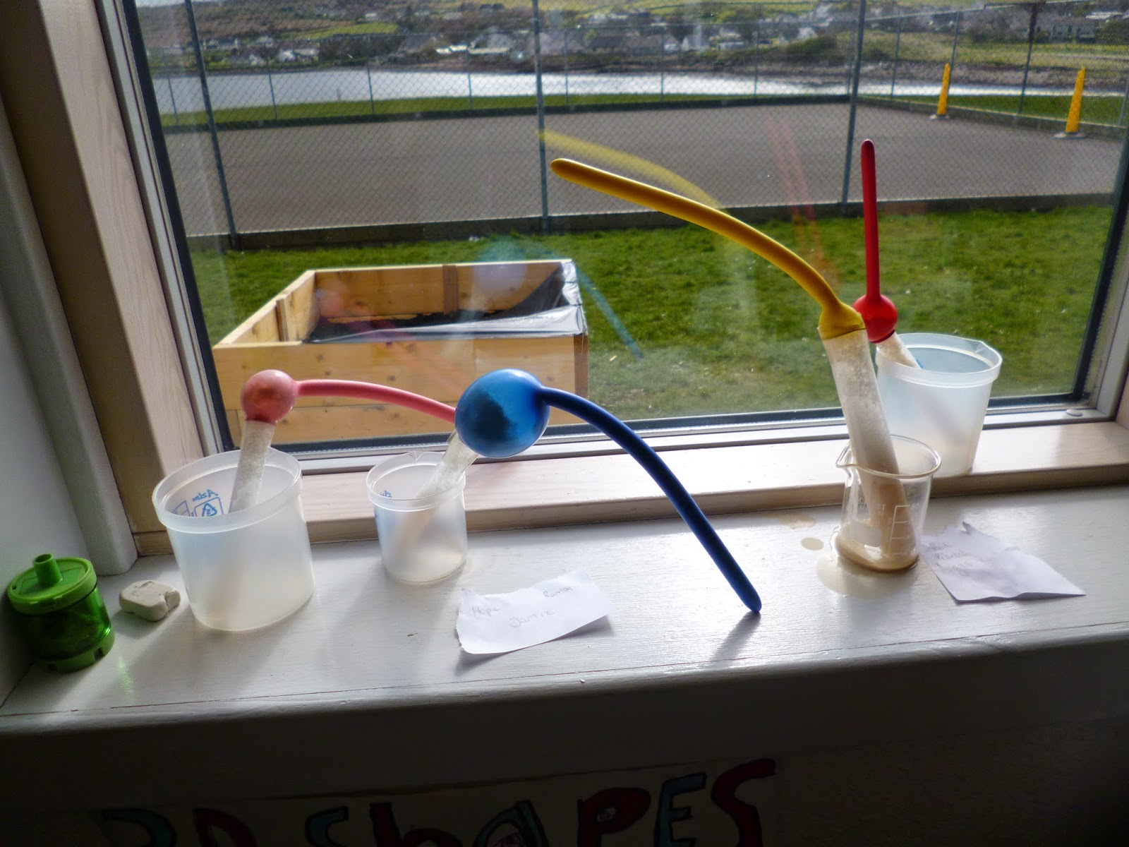 Firth P6/7 Blog: Micro-organisms Experiment