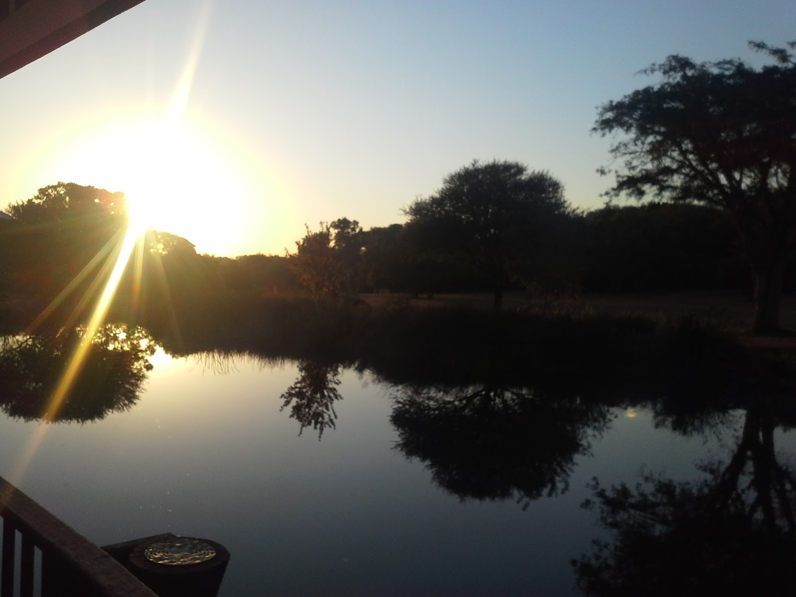 Go with Henry: Sunset tea at the Pretoria Botanical gardens