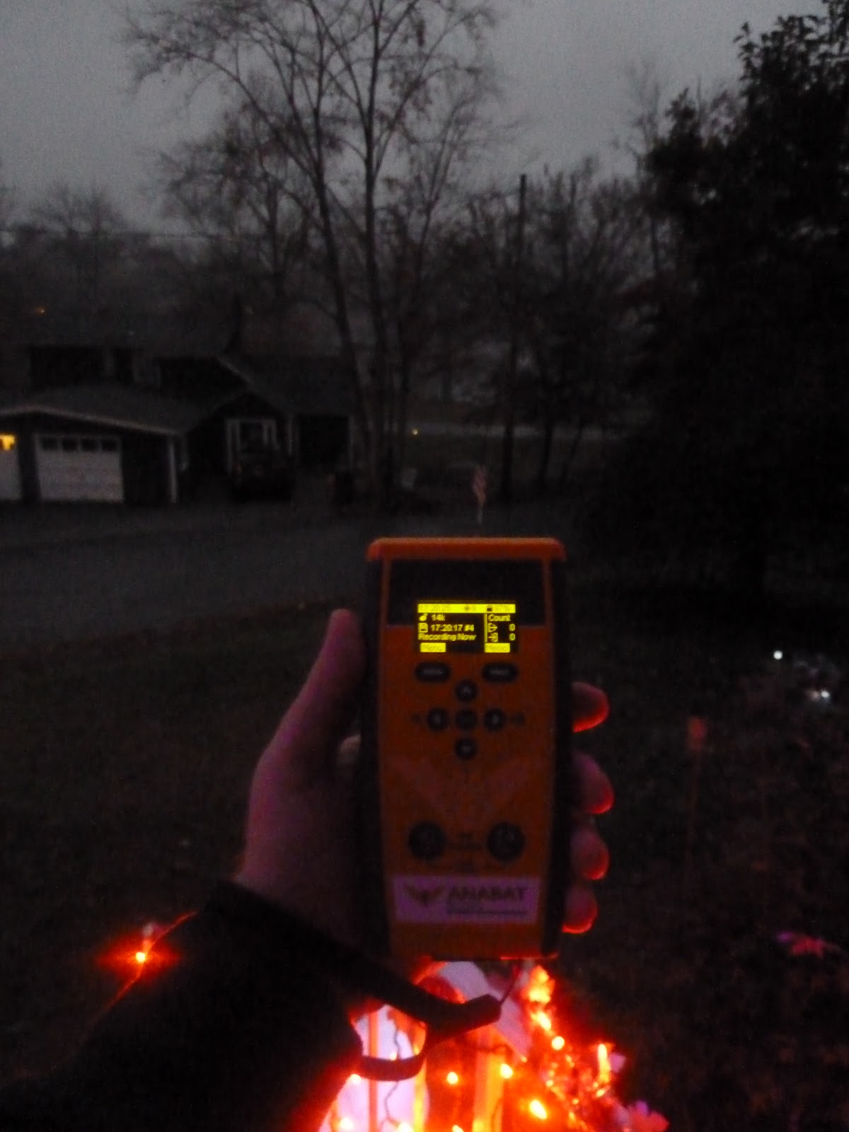 Bat Detector Reviews: A Recent Arrival! The AnaBat Scout Bat Detector ...