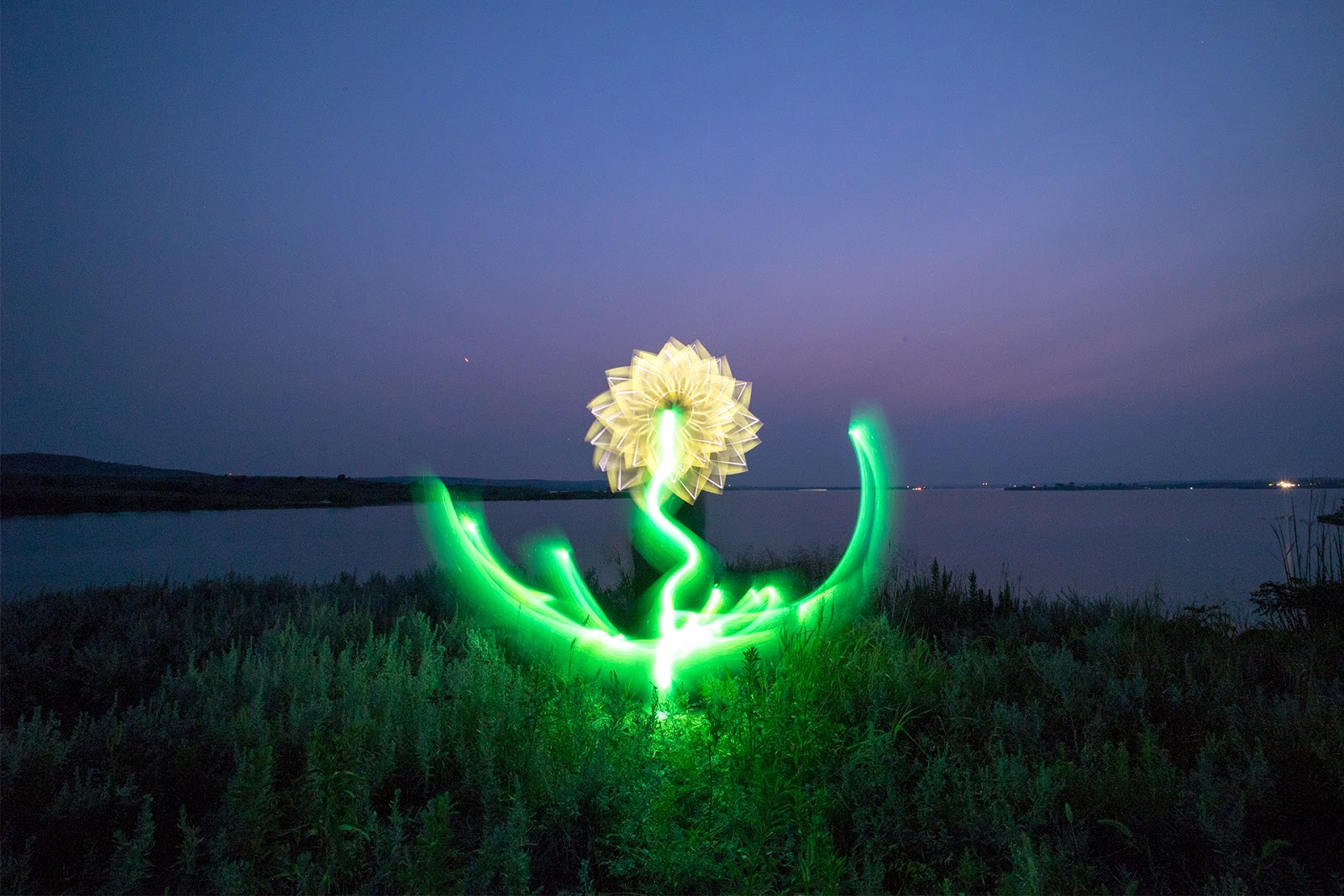 Light Painting Flower Tutorial - Photography Blog Tips - ISO 1200 Magazine