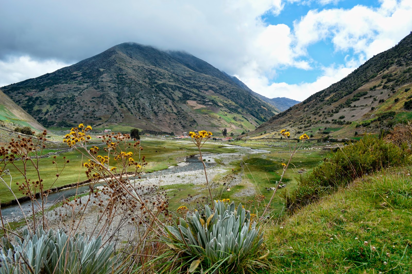 Asociación Civil Proyectos Especiales Aromas de Portuguesa: DE VISITA A ...