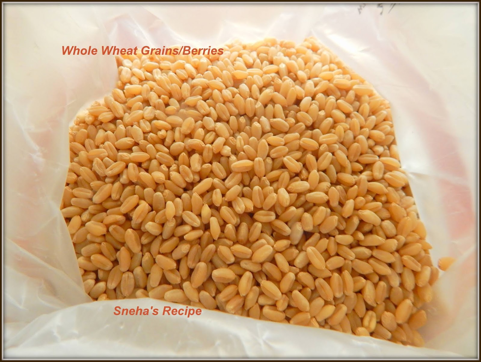 How To Sprout Whole Wheat Grains / Berries At Home - Sneha's Recipe