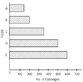 Bar Graphs, How to Draw a Bar Graph?