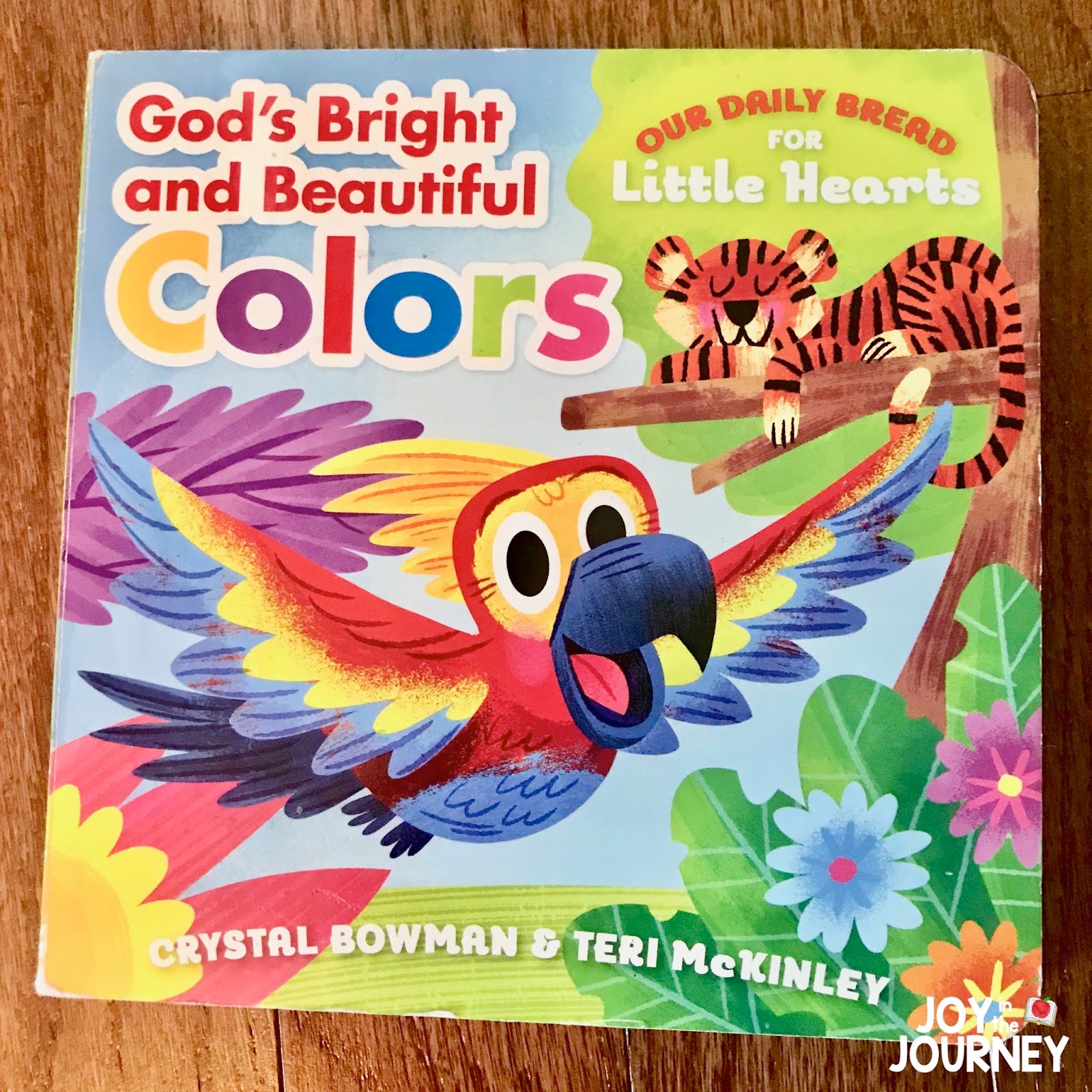 God's Creation: Preschool Bible Learning Day - Joy in the Journey
