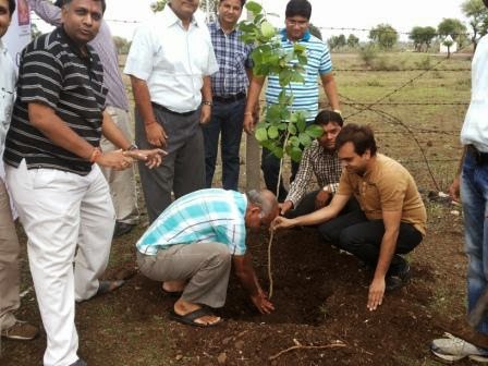 ROTARY CLUB OF KHAMGAON 2014-15: TREE PLANTATION PHOTOS