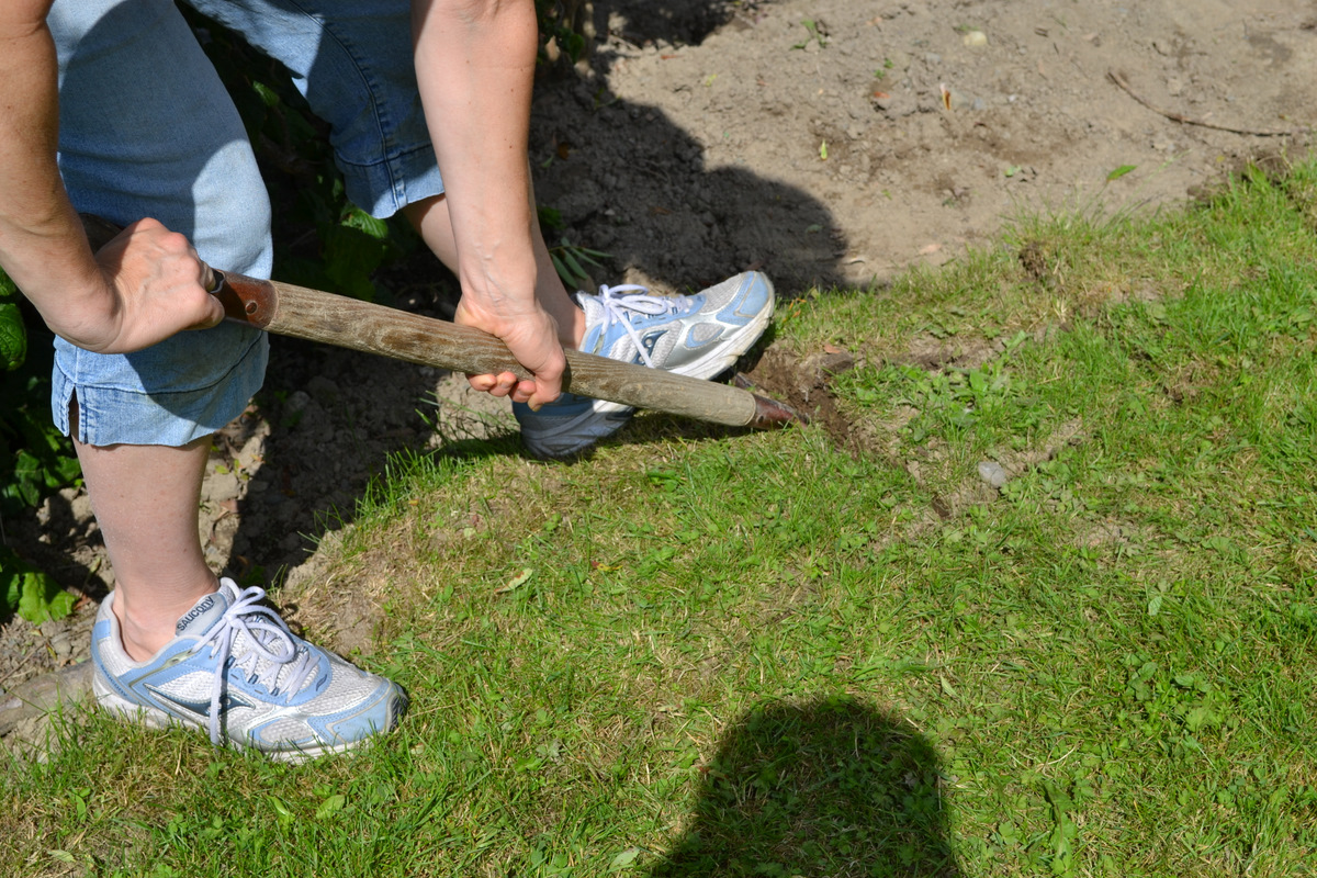 From dirt to a pallet wood walkway in the garden: start to finish!Funky ...