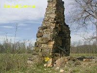 Welcome to Jonquiljunction