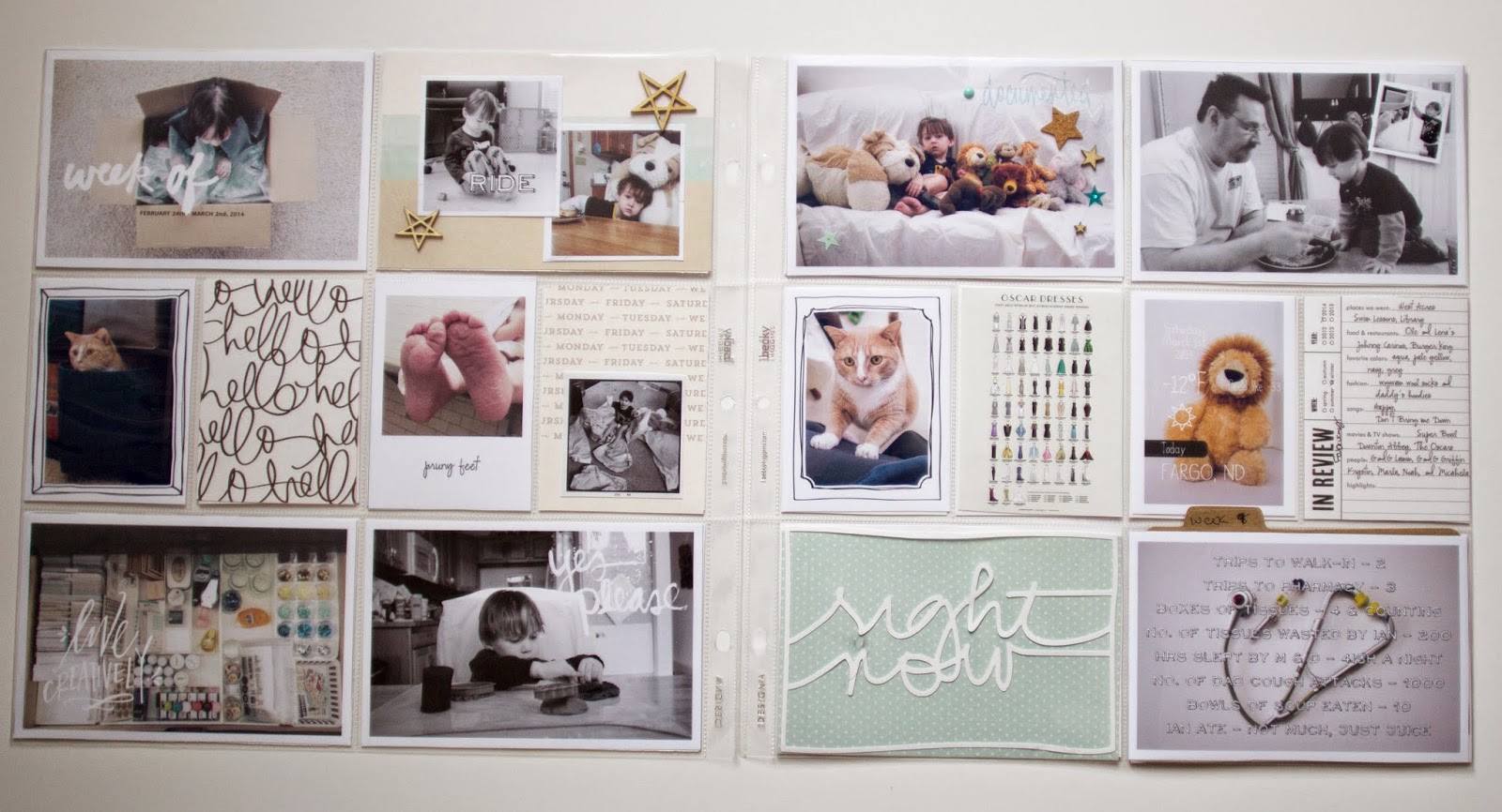 little lamm & co: Project Life