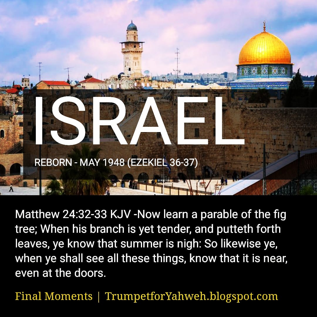 Third Temple Update