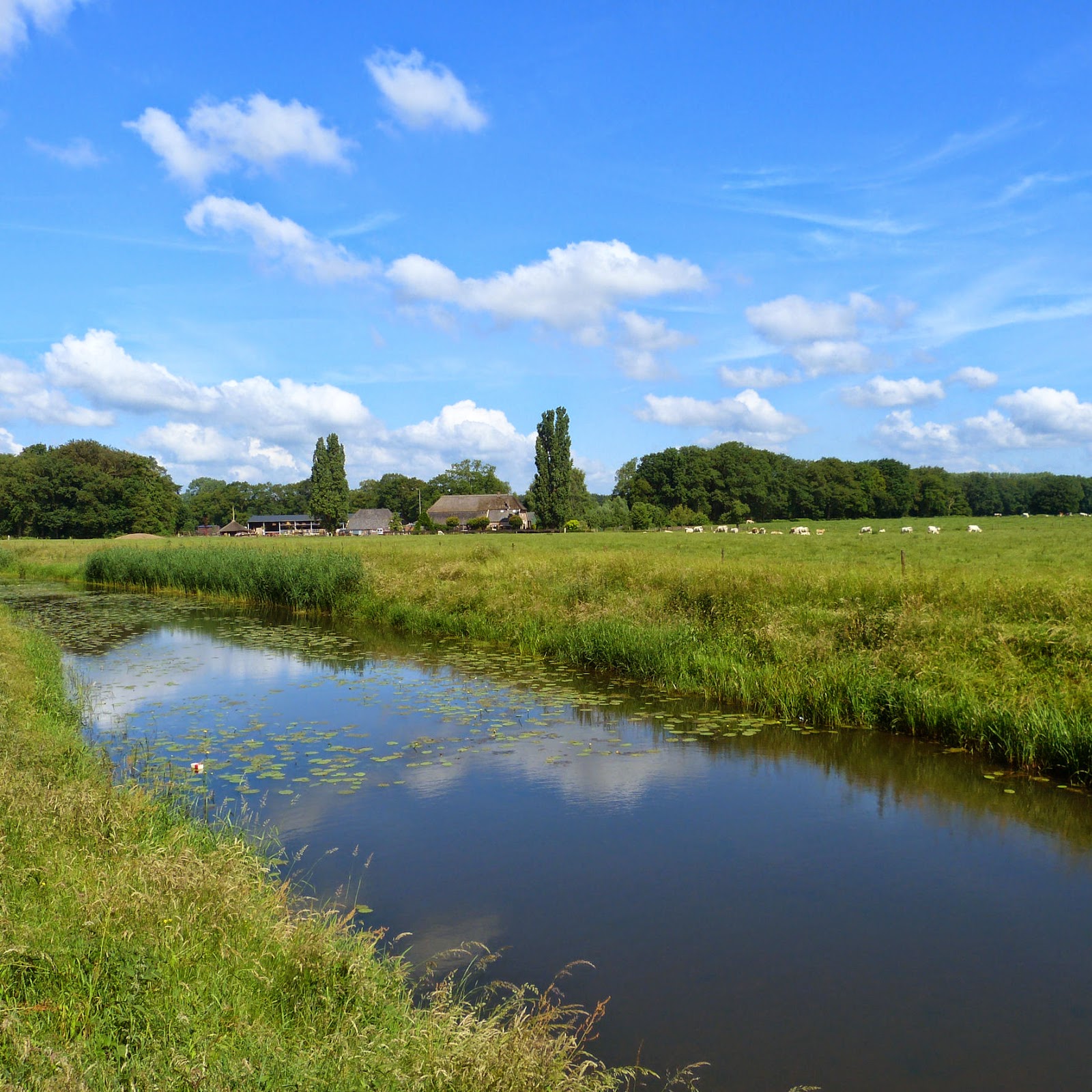 Caatje's Artsy Stuff: June 2014