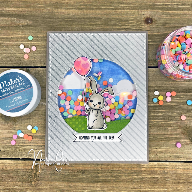 Easy Shaker Card Idea ~ Nadine Carlier