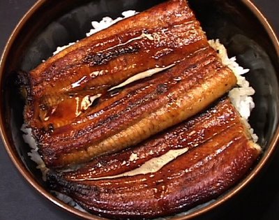 5 Benefits of Meat Eels For Health And Side Effects - healthy t1ps