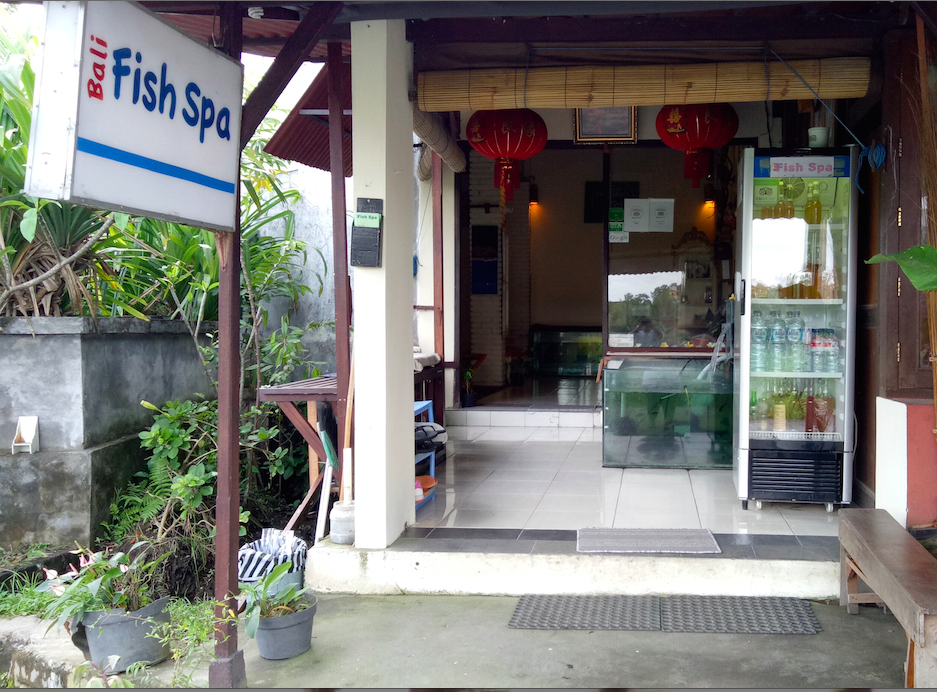 Bali Fish Spa