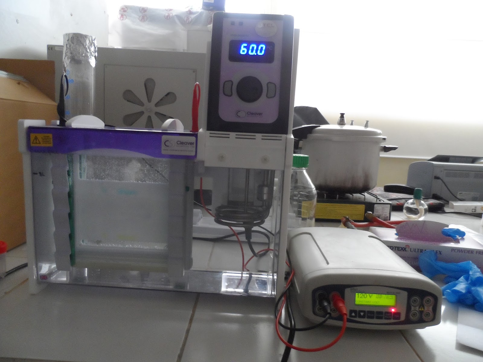 ecotoxicologia-bioensayos: electroforesis en gel con gradiente de ...