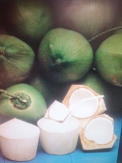 Serenemaklong: Khasiat Buah Kelapa Muda