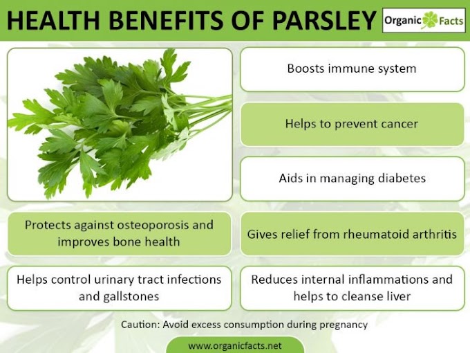 HEALTH BENEFITS OF PARSLEY