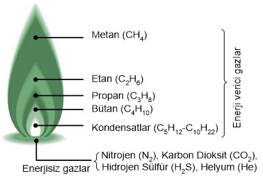 Prof. Dr. Bilsen Beşergil: Doğal Gaz (natural gas)