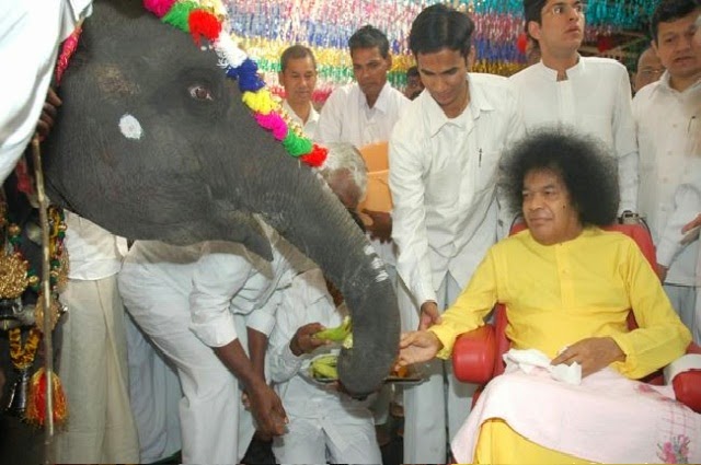 Beloved Bhagawan Sri Sathya Sai Baba: Swami Feeding Sai Geetha