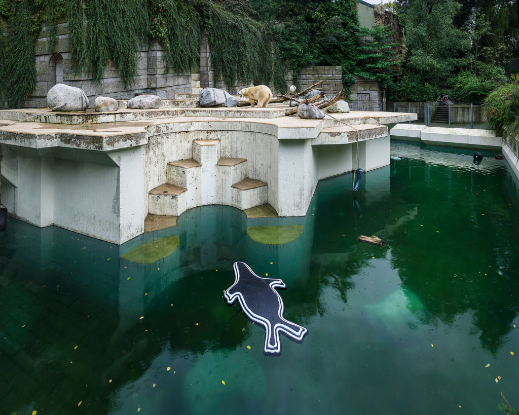 EL ANIMAL INVISIBLE: Sheng Wen Lo. Genuino posicionamiento ...