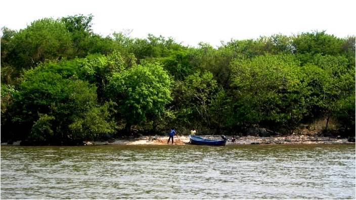 ISLA DE PERICO: IMAGENES