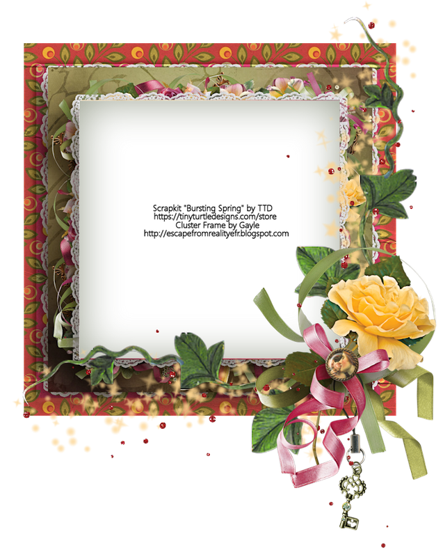 Escape From Reality Blog: FTU 'Bursting Spring' Cluster Frames TTD