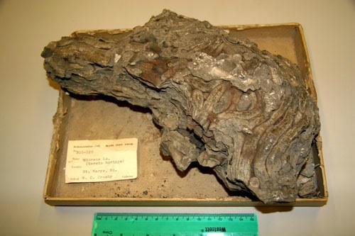 CV. Teja Putra Mandiri: Klasifikasi Batu Gamping