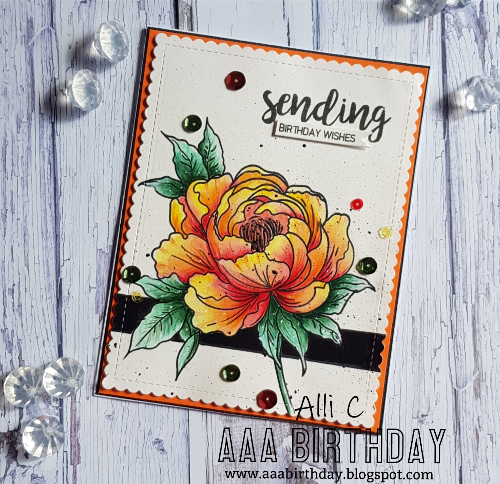 Creative Clark by Alli C