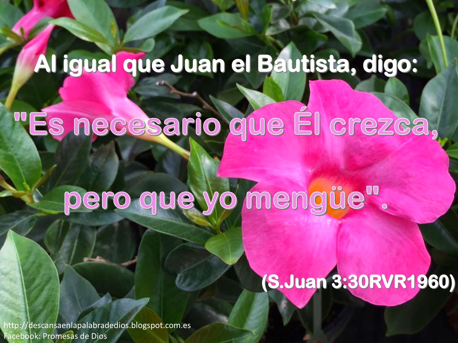 Promesas De Dios Juan 3 30