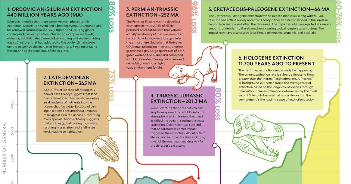 Earth's Major 'Mass Extinction' Events