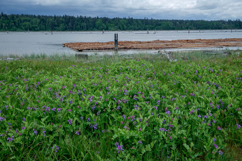 Views From Mount Dunbar: Spring resurgence