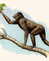 Profesor Víctor Castrillón - Ciencias Naturales : GRADO OCTAVO 8 ...