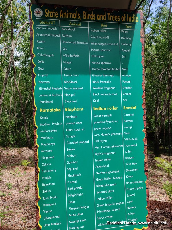 Salumarada Thimmakka Tree Park near Manipal: Photos and complete info ...
