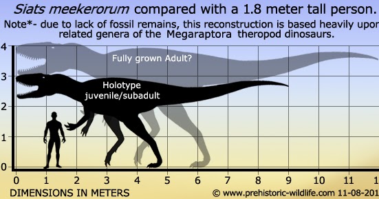 Extinct Animal of the Week: Adult or Juvenile Size?