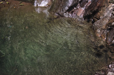 Info Wisata Curug Citaman Sukabumi - MASOYIT