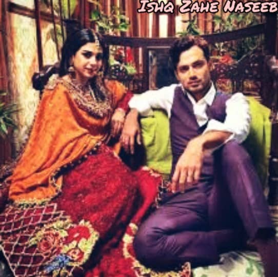 Ishq Zahe Naseeb OST Lyrics - Naveed Nashad
